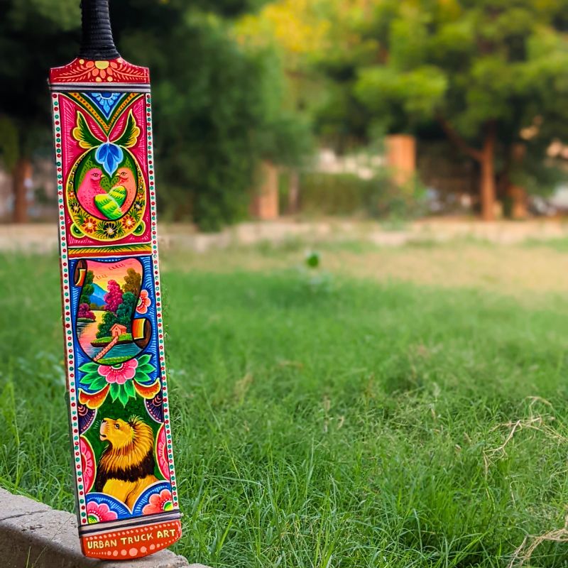 Hand Painted Lion Cricket Bat – Urban Truck Art